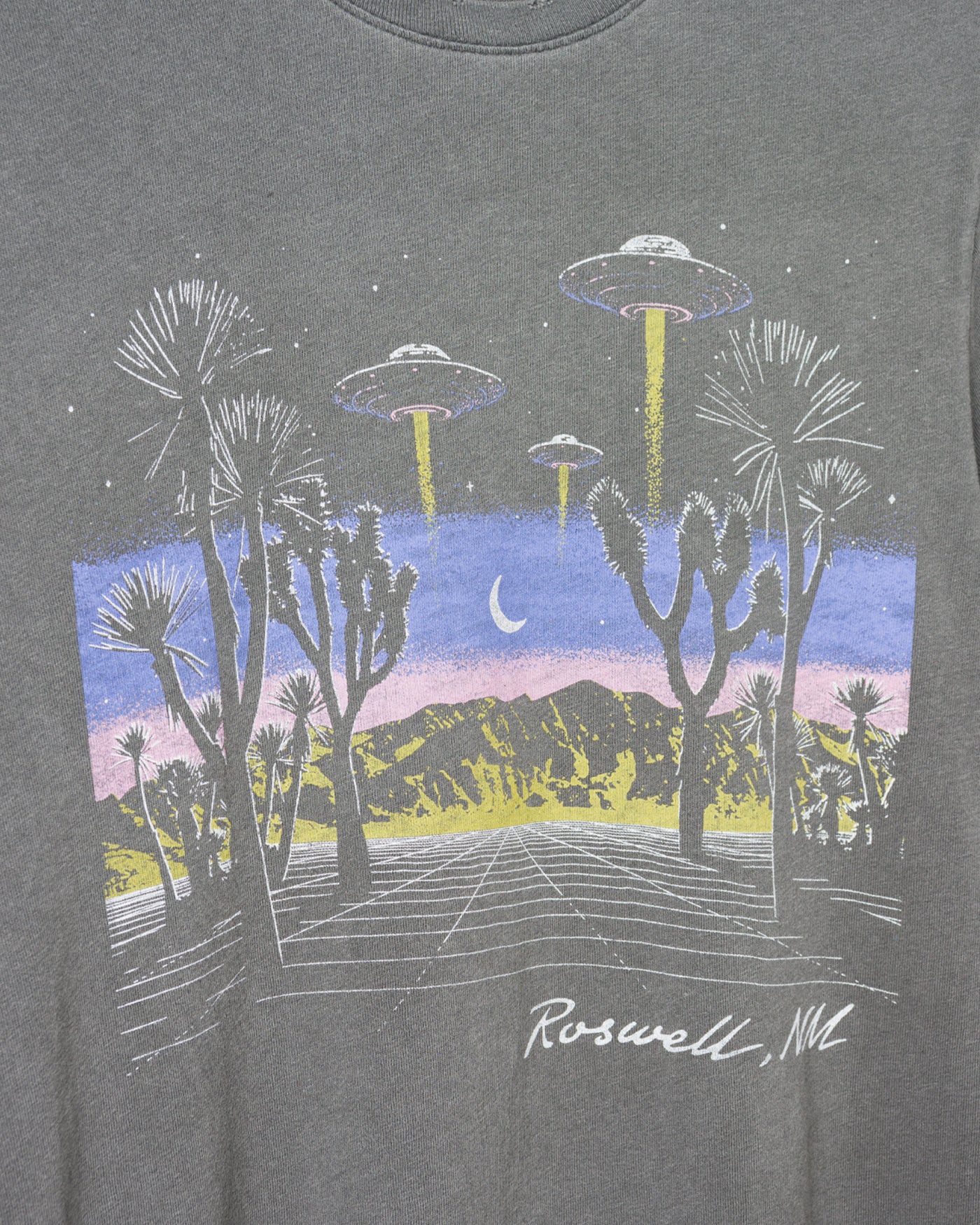 Roswell Vintage Tee – Junk Food Clothing