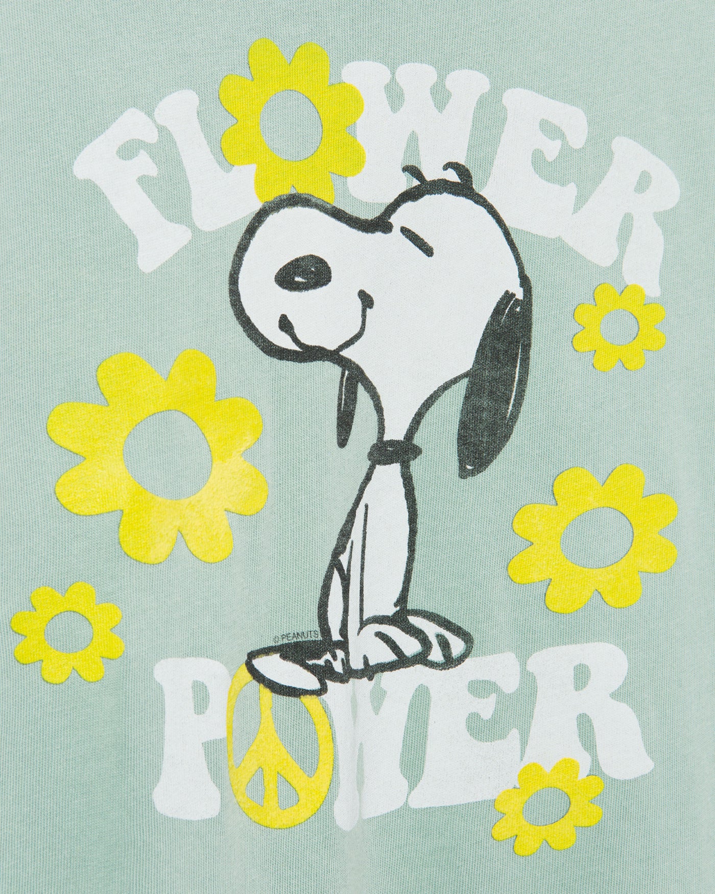 Women's Snoopy Flower Power Vintage Tee | Junk Food Clothing